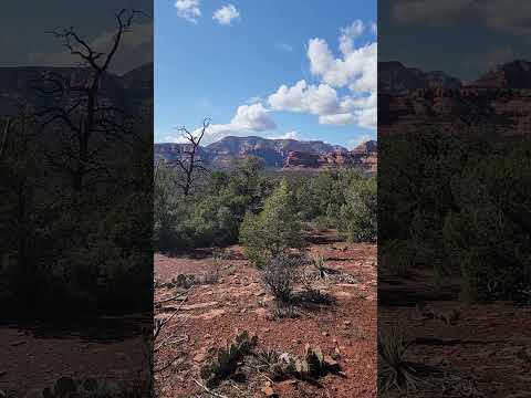 Coconino National Forest