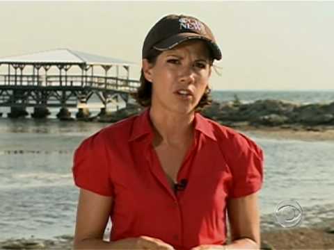 Ask CBS News: Has BP Established A Wildlife Fund?