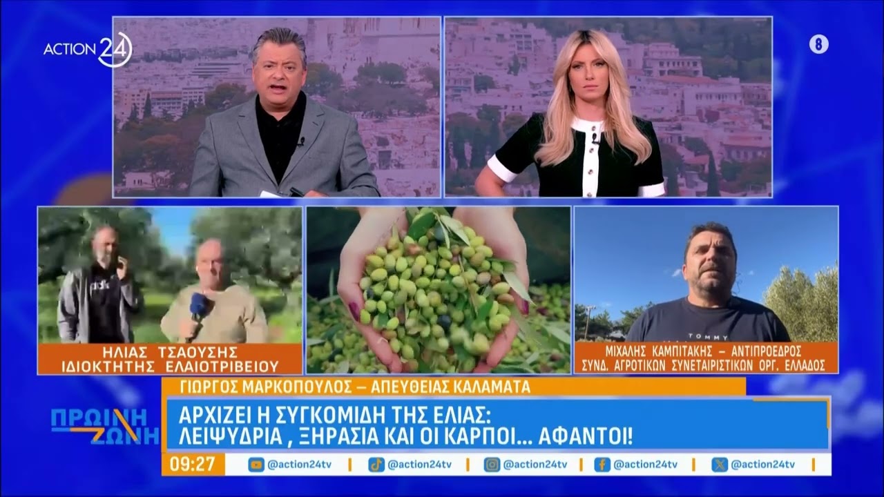 ΕΛΑΙΩΝΕΣ – ΣΥΓΚΟΜΙΔΗ: ΛΕΙΨΥΔΡΙΑ, ΞΗΡΑΣΙΑ ΚΑΙ ΟΙ ΚΑΡΠΟΙ ΤΗΣ ΕΛΙΑΣ ...