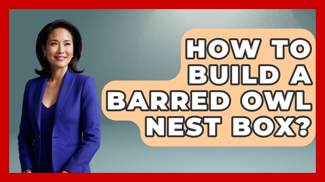 How To Build A Barred Owl Nest Box? - Bird Watching Diaries