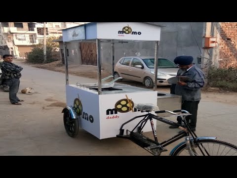 Momo's Cart - Momo's Cart With Small Tandoor from New Delhi