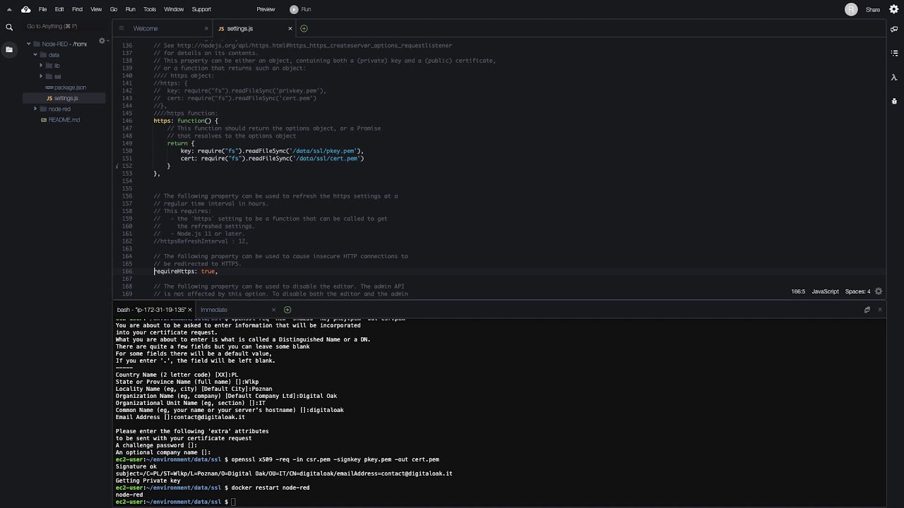 Run Docker Node-RED with mounted 