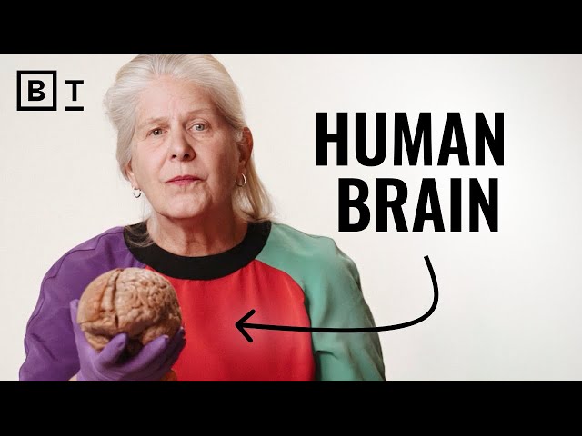 Understanding Your Brain: A Path to Personal Freedom | Galaxy