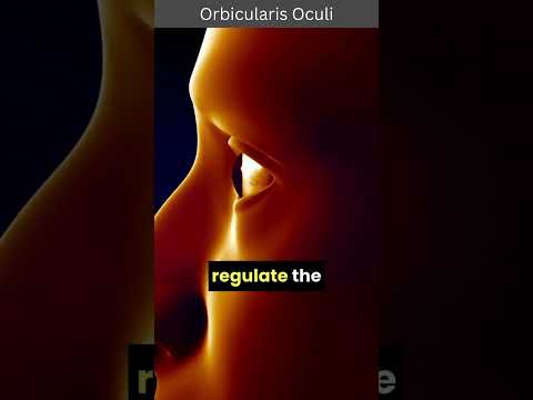 """Unlocking the Mystery of Orbicularis Oculi! 👁️💪 #EyeMuscle #AnatomyFacts #YTShorts"""