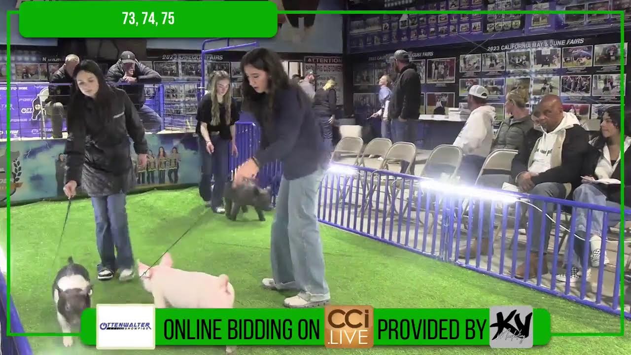 Ottenwalter Showpigs - Farm Sale #2 - Jan-11