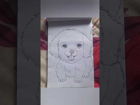 draw easy cute dog#cute drawing #newshorts art
