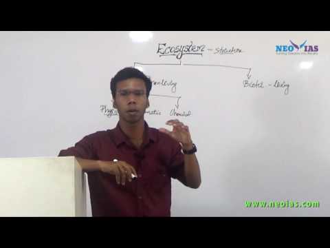 Ecosystem | Environmental Science | NEO IAS
