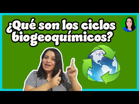 TOMi.digital - ciencias naturales 7