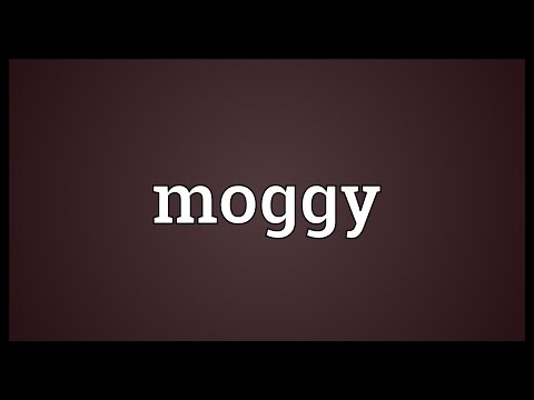 Moggy Meaning