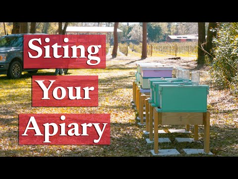 Choosing a Proper Apiary Site | Beekeeping Academy | Ep. 5