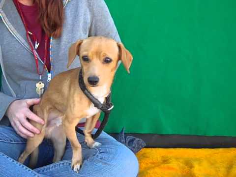 Stewart A4367745 RESCUED!!!