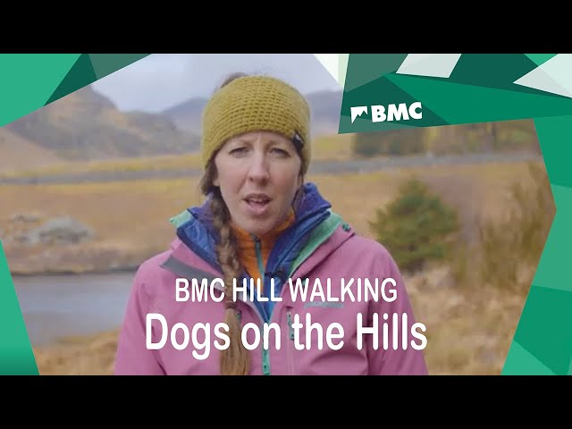 The do's and don'ts of dogs on mountains - The British Mountaineering ...