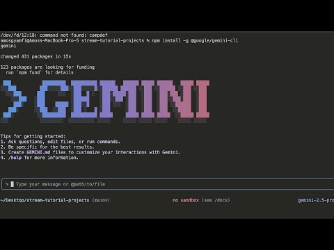 Gemini CLI Quick Start