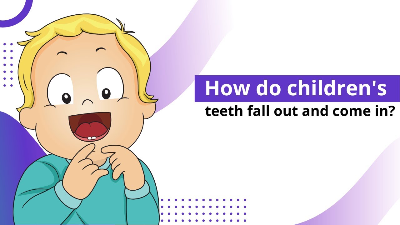 How Children’s Teeth Erupt and Fall Out (4 Helpful Tips)