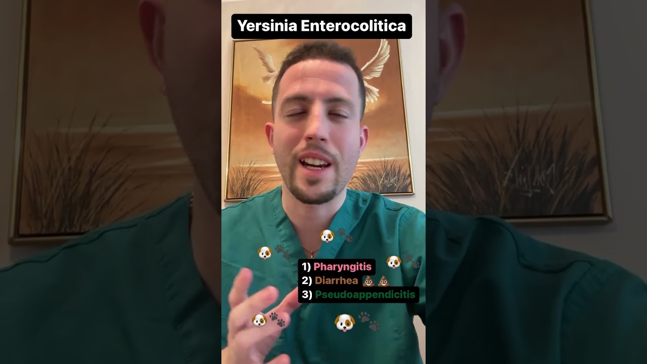 Yersinia Enterocolitica - USMLE HIGH YIELDS