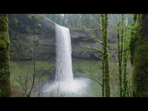 Beloved Wife (Natalie Merchant Cover)