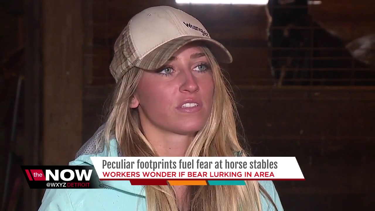 Peculiar footprints fuel fear at horse stables