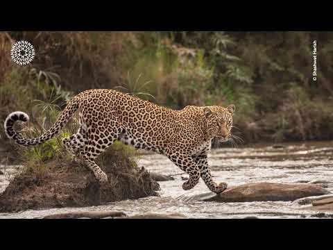 Wildlife Photographer of the Year 59 - Exhibition preview