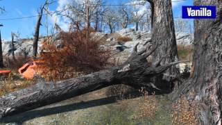 Fallout 4 Vivid Fallout Trees at Fallout 4 Nexus - Mods and community