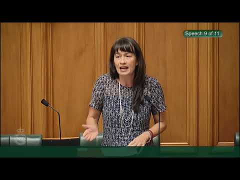 Employment Relations (Triangular Employment) Amendment Bill - First Reading - Video 9
