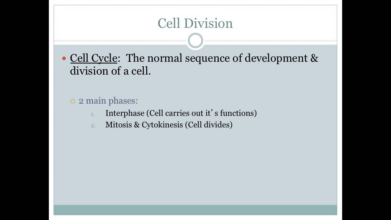 Cell Division and Mitosis Powerpoint Recording