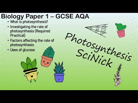 Photosynthesis /// Bioenergetics Biology AQA GCSE (2020 1-9) Paper 1