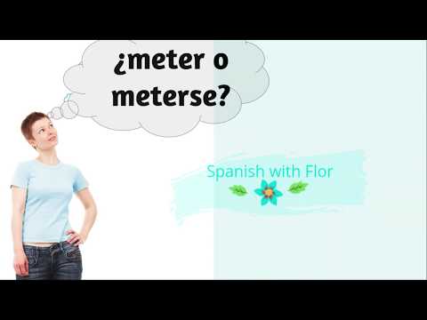 What's the difference between METER and METERSE in Spanish?