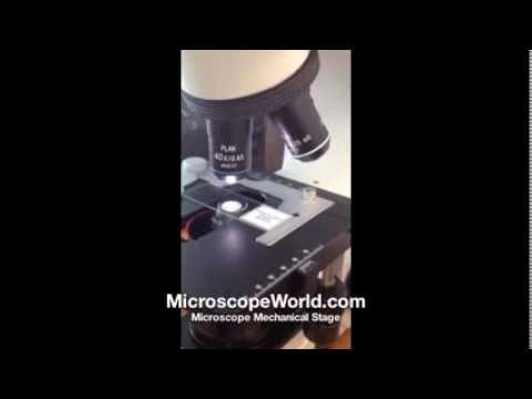 Microscope Stages - Microscope Mechanical Stage Latest Price ...