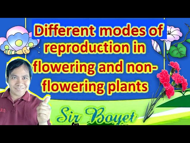Exploring the Diverse Modes of Plant Reproduction: A Comprehensive ...