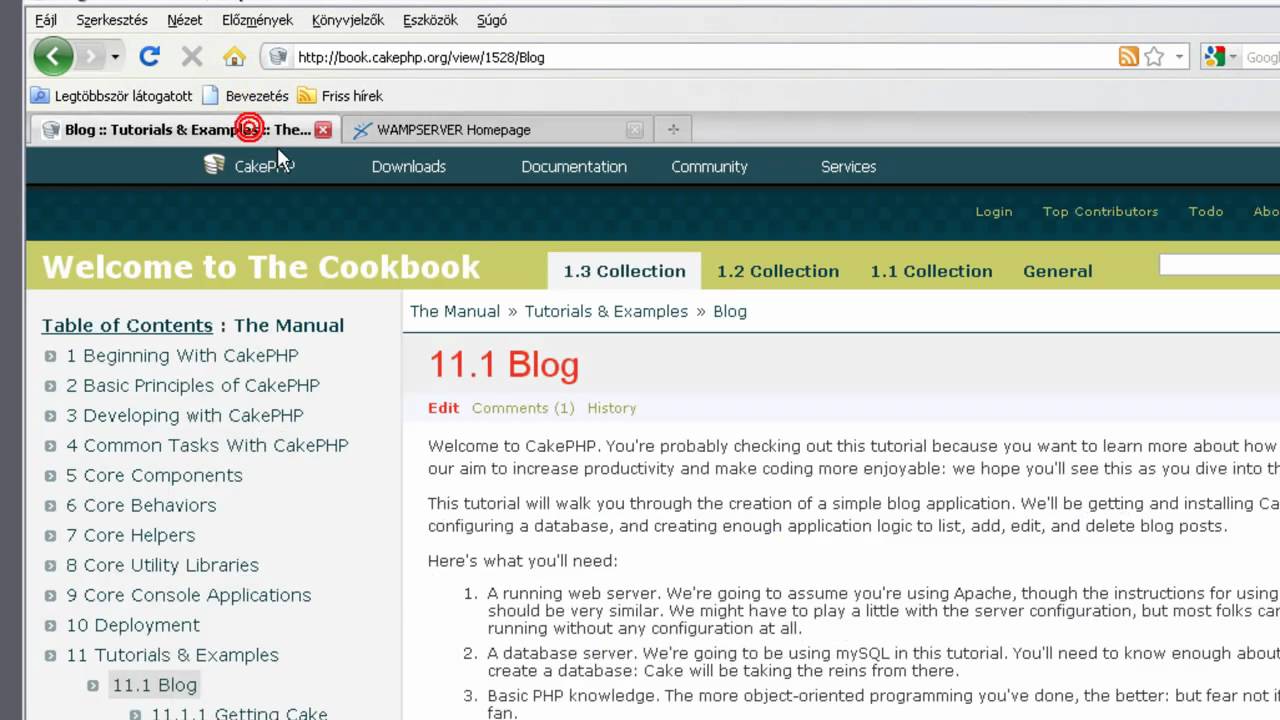 Cakephp Tutorial 01 - Blog tutorial part 1 HU