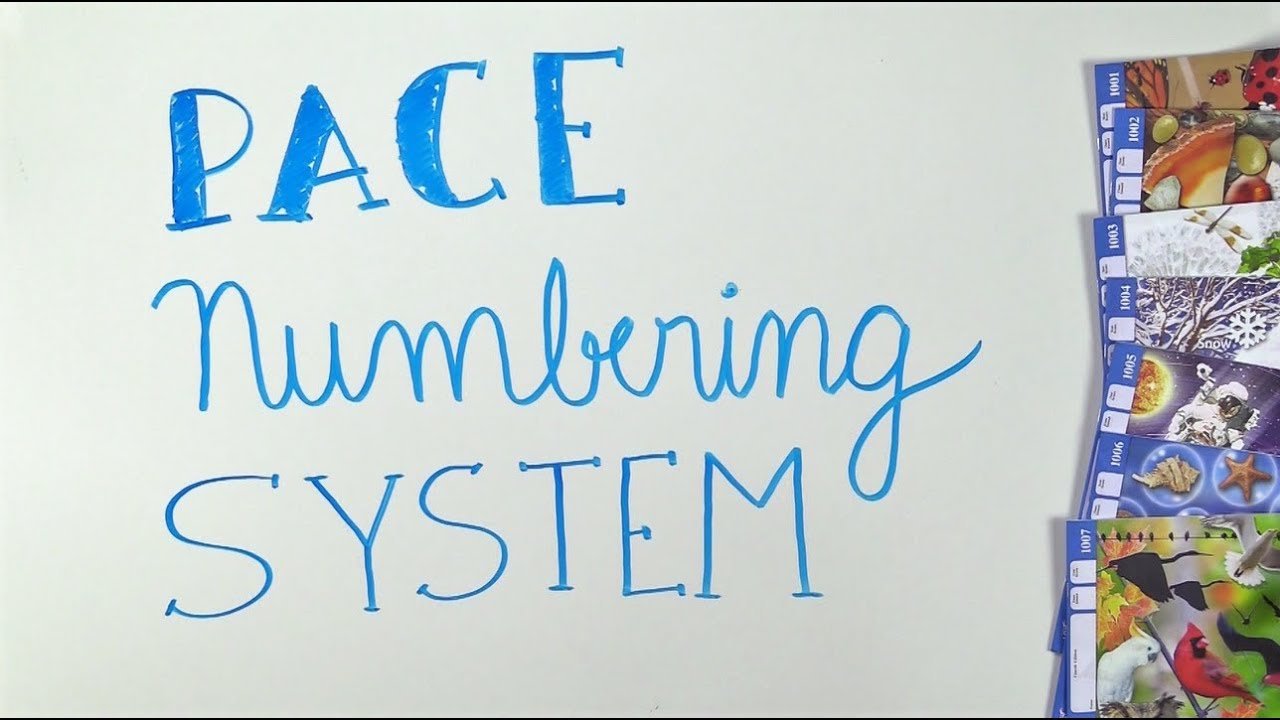 PACE Numbering System