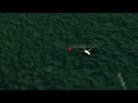 Ian Wilson MH370 missing flight - ott板 - Disp BBS