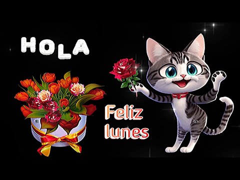 FELIZ LUNES E INICIO DE SEMANA💖💐🌞 Muy buenos días con infinitas bendiciones y frases bonitas