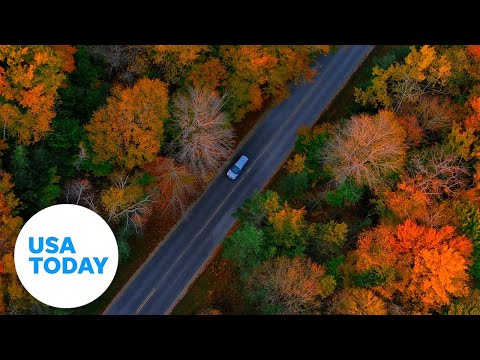 Here’s Where To See The Best Fall Foliage - Classic Country 100.9