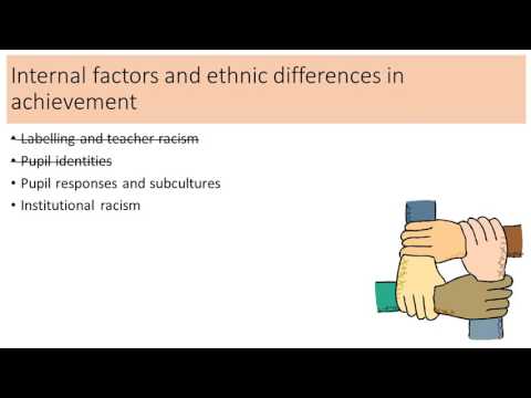 07 Ethnicity & Education (Internal Factors)