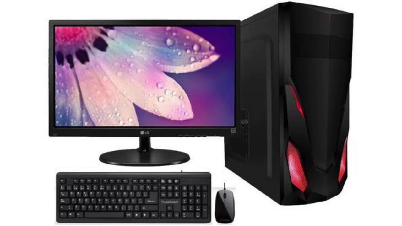 Funciones básicas de la computadora y el uso elemental de algunos programas.