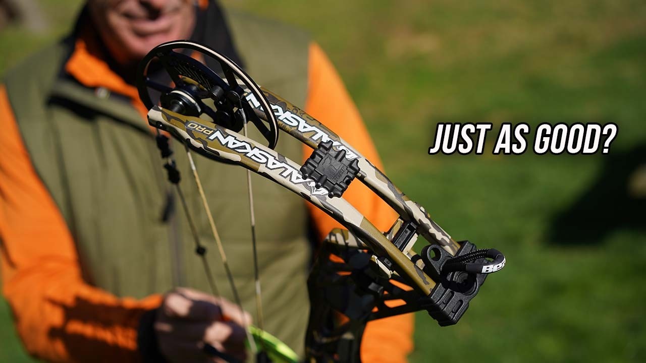 The Industry Doesn't Want You to See This: Budget Bow vs Flagship Bow