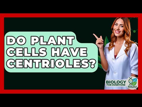 Do Plant Cells Have Centrioles? - Biology For Everyone