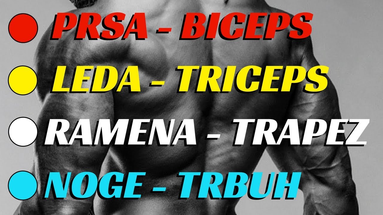 KOMPLETAN PLAN I PROGRAM TRENINGA ZA MISICNU MASU