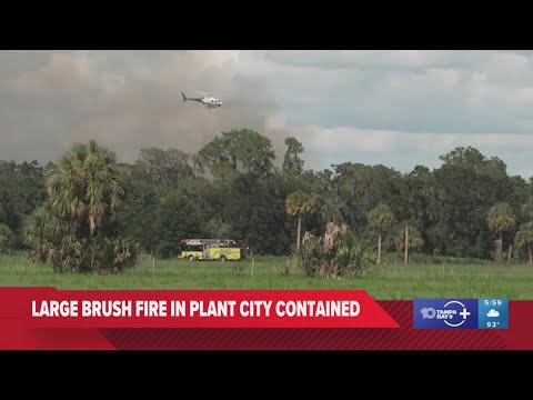 Firefighters contain large brush fire in Plant City