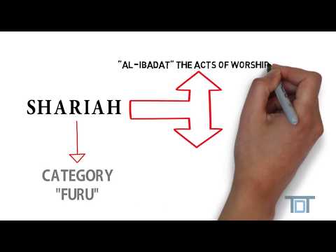 What is Shariah