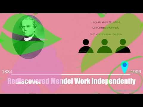 Genetics - Animated Overview - Dr. Deepak Uppal's Biology