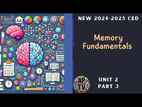 🎯Memory Fundamentals and Storage - AP Psychology Unit 2 Part 3🎯