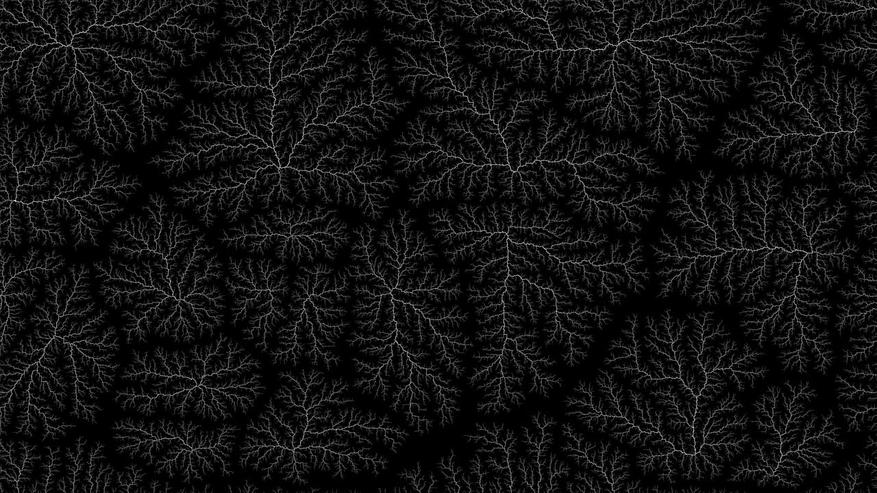 2D Diffusion Limited Aggregation (DLA) Simulation | Black | 20 seeds