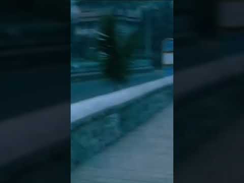 munna bhai scam 5 #bollywood #comedyfilm