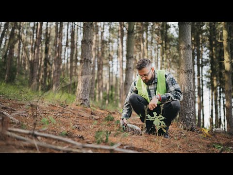 Earn a Master’s in Conservation and Wildlife Biology Online with CSU