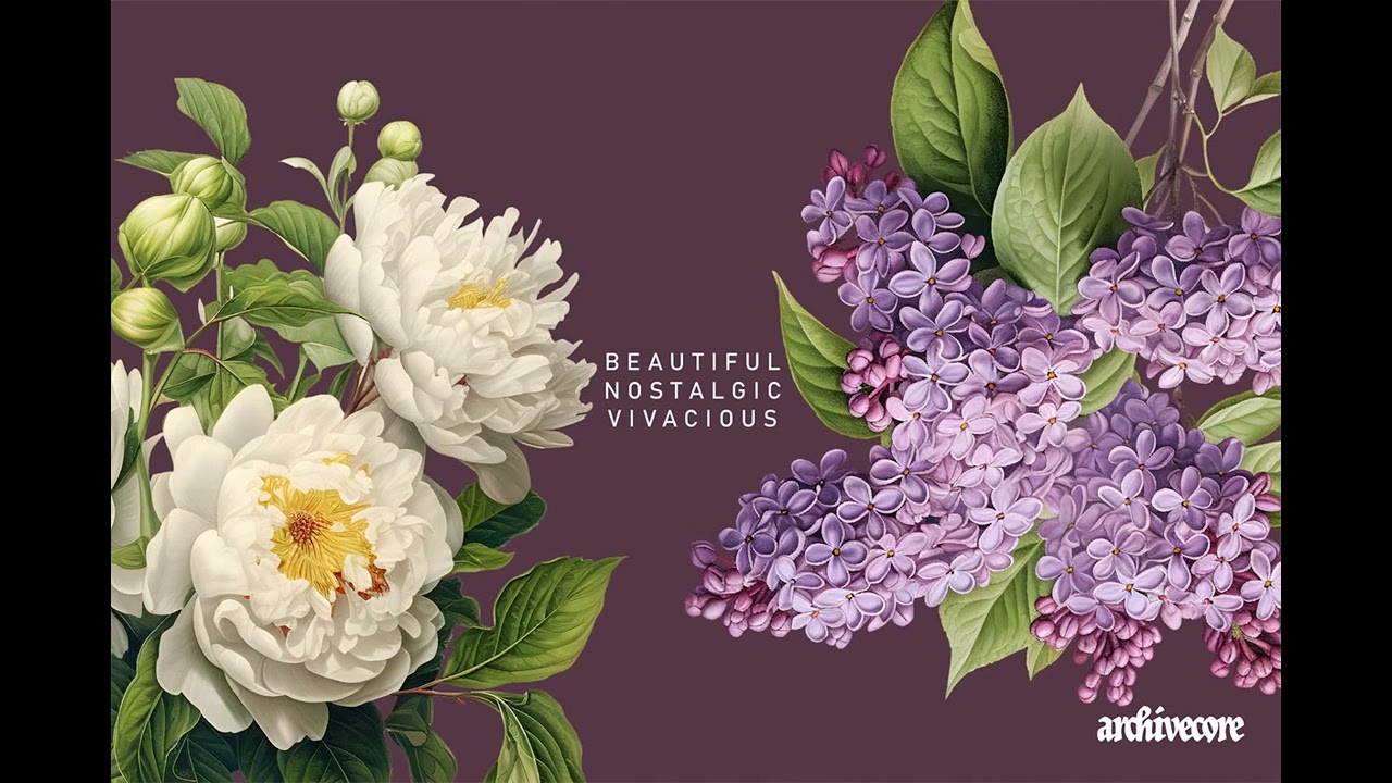 Download Vintage Book Of Flowers Clipart Stock Graphics