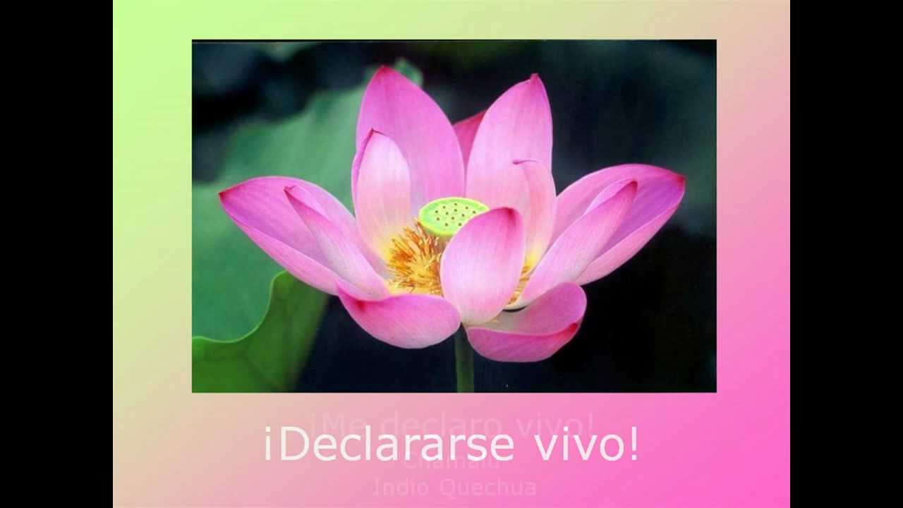 ME DECLARO VIVO!
