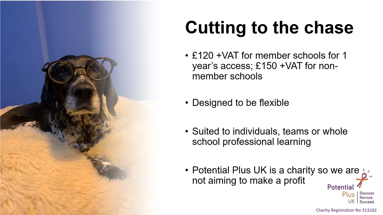 School Webinars: Information