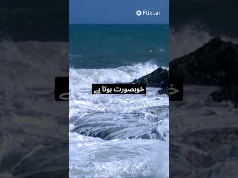"Life's Journey: In Search of Beauty in Every Moment" In Urdu